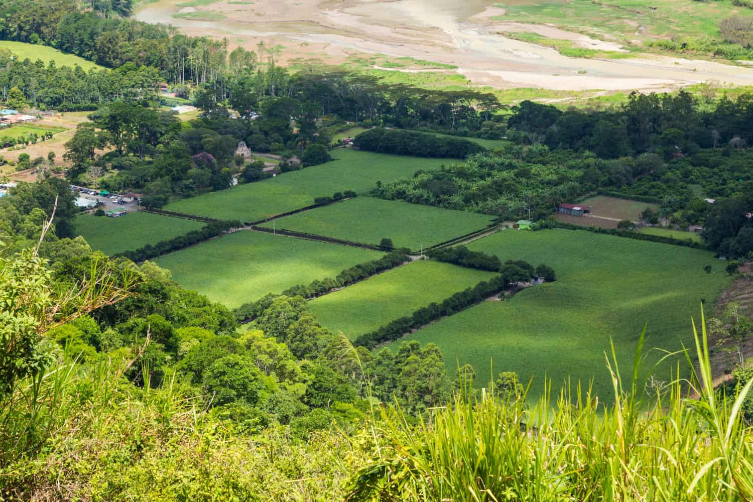 Find Out How Much Space Is 3 Acres? When Buying Land